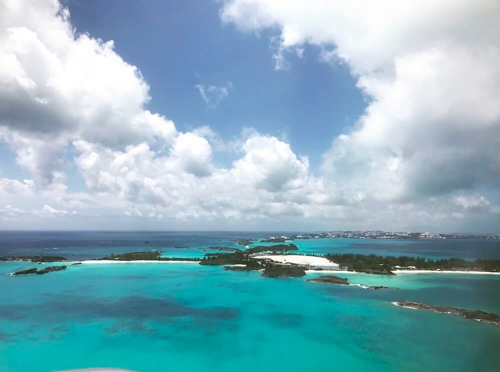 moliinnovative - Blog