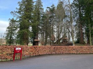 Dumfries House Adventure Play | CAP.Co Creating Adventurous Places